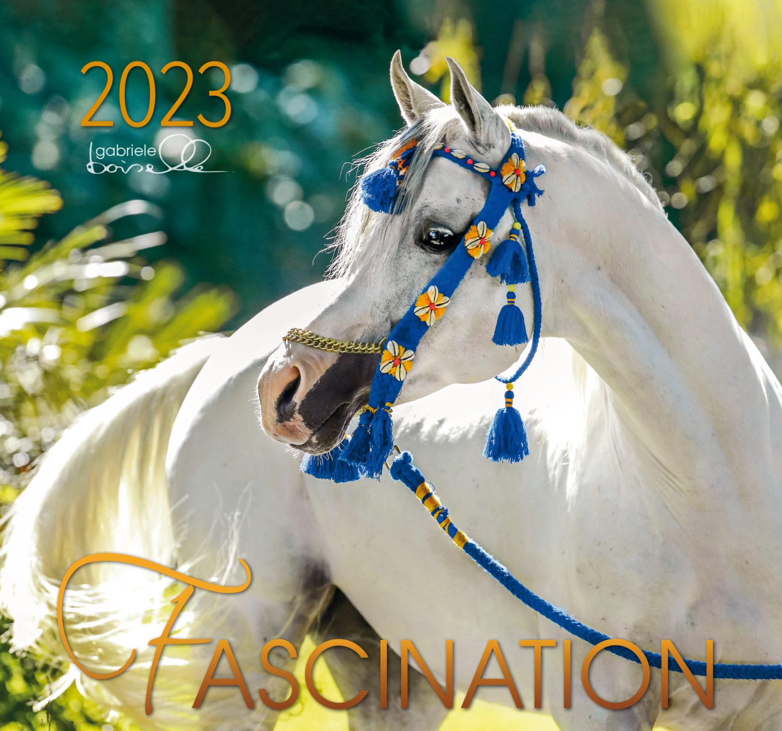 Gabriele Boiselle: Fascination 2023 – Schreibfeder.de