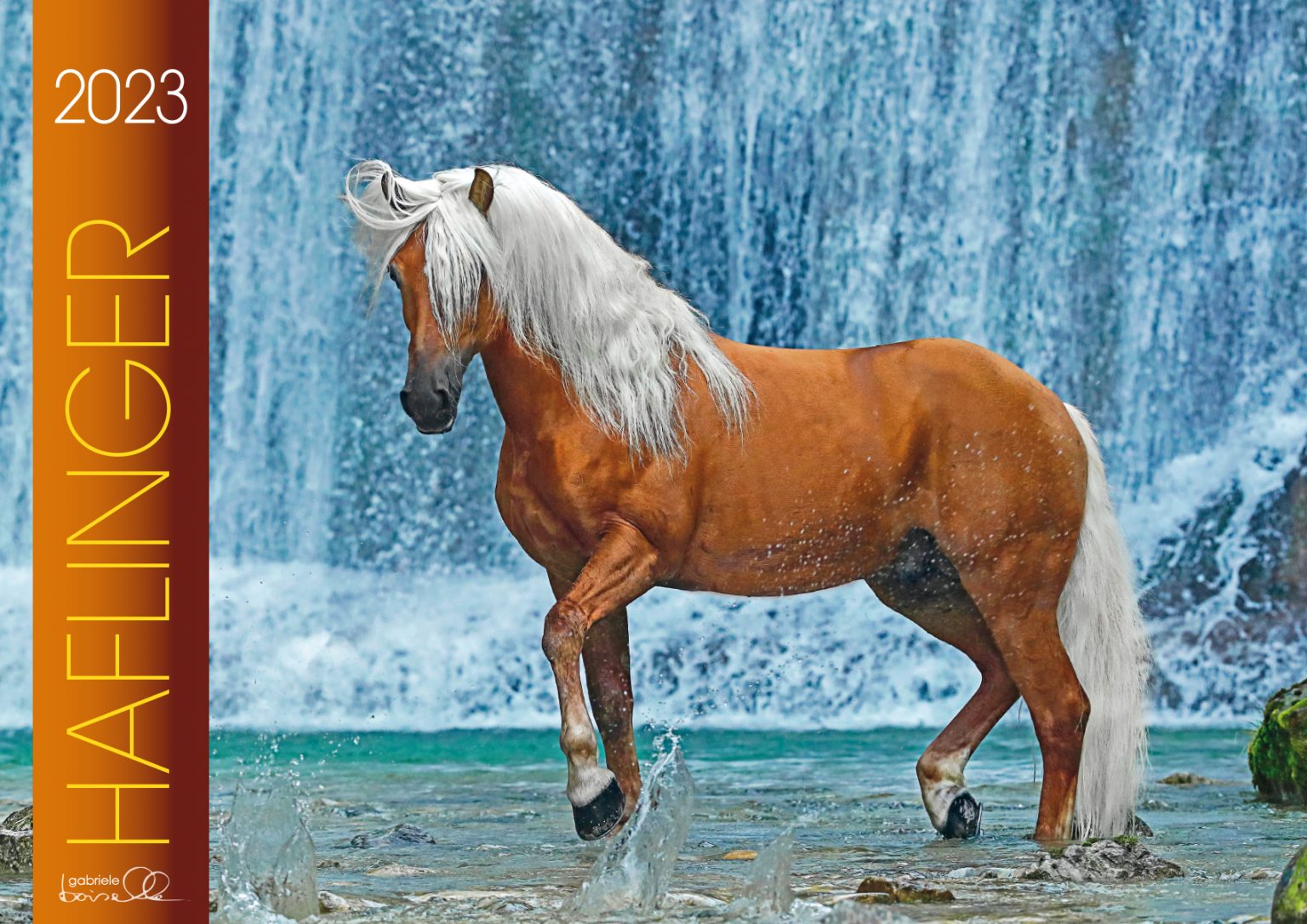 Gabriele Boiselle: Haflinger 2023 – Schreibfeder.de